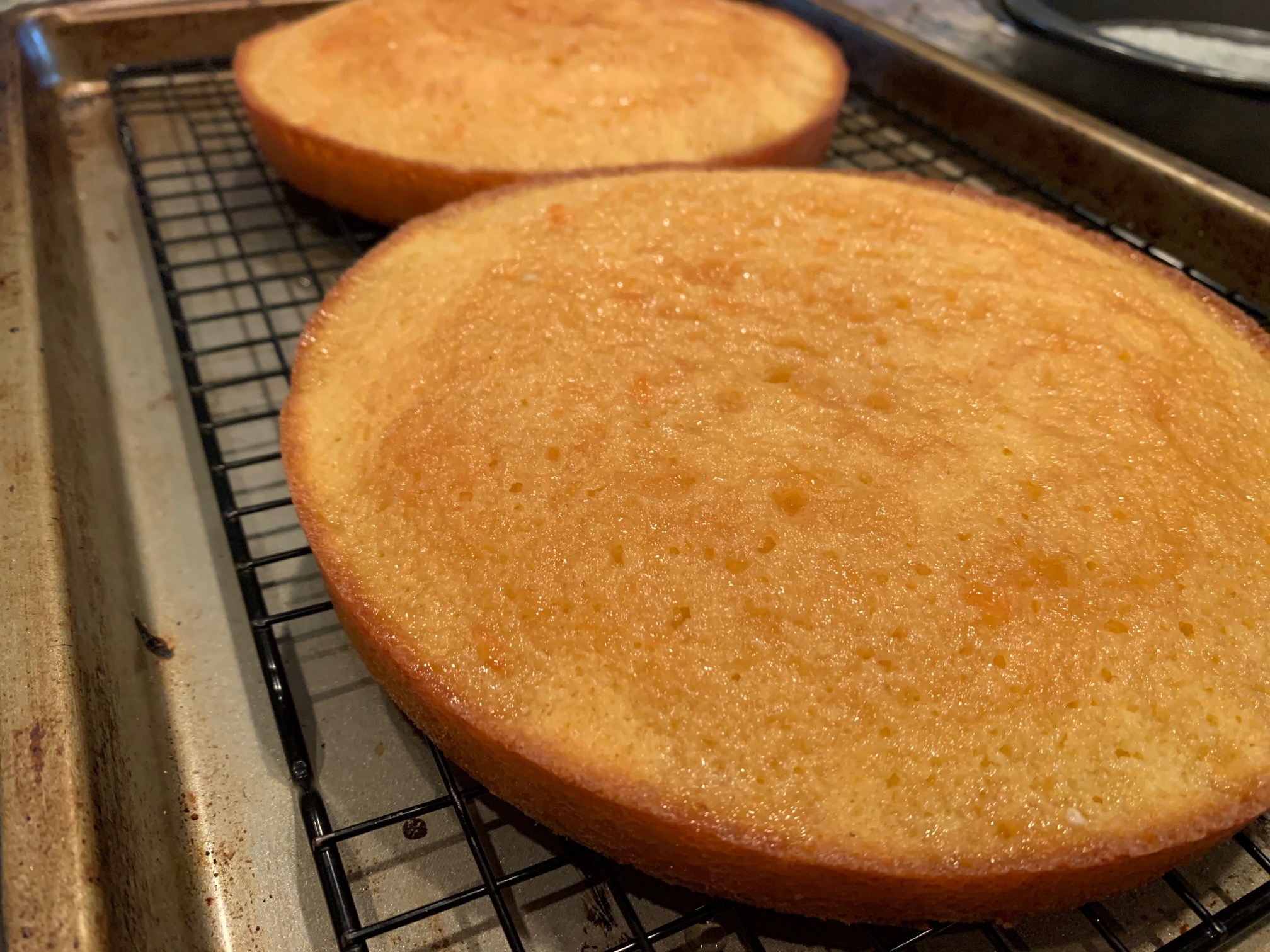 Fresh Grapefruit Cake with Mascarpone Icing | finding time for cooking