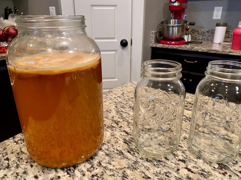How To Make Kombucha: Recipe For Homemade Kombucha