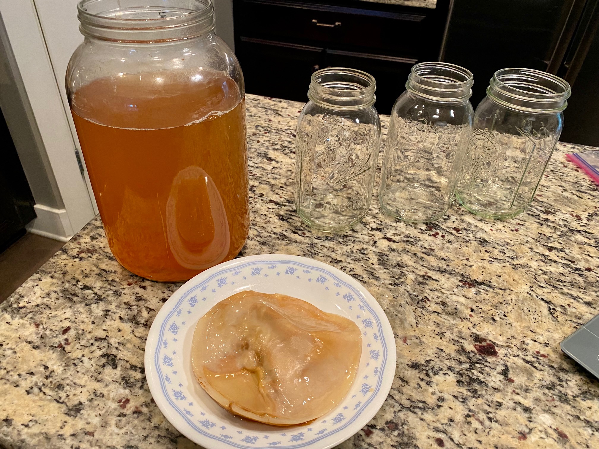 How To Make Kombucha: Recipe For Homemade Kombucha
